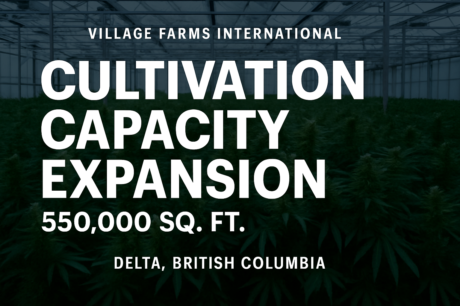 Village Farms to Add 40 Tonnes Cannabis Capacity in Major Greenhouse ...